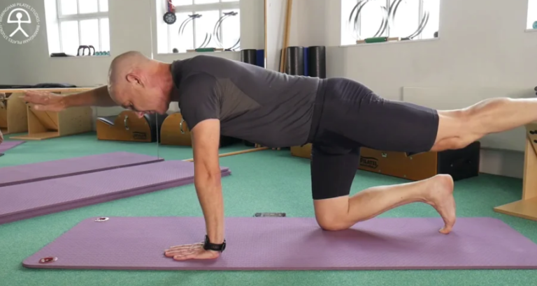 Pre-Pilates: "Maintain Alignment": Opposite Arm and Leg Reach ...