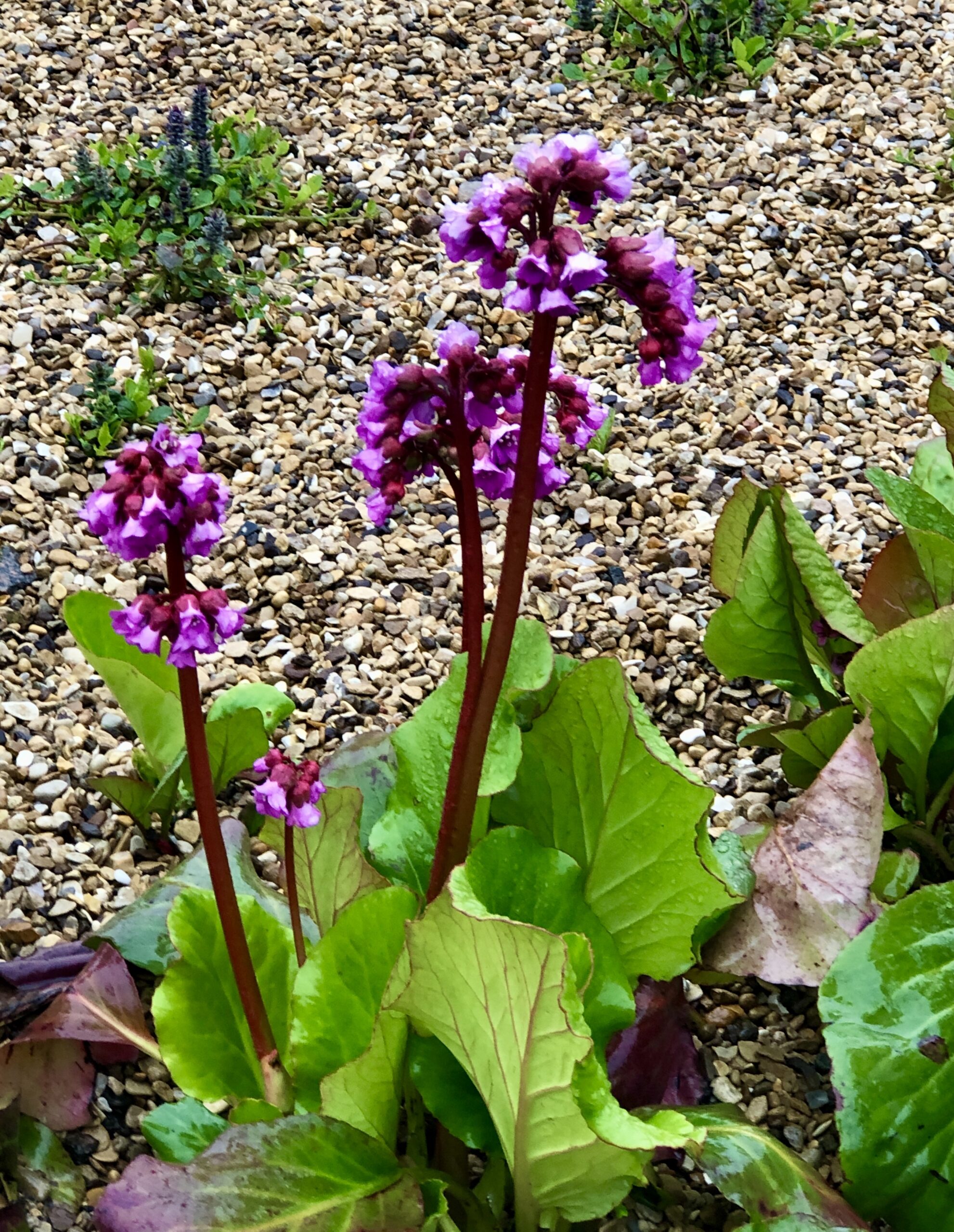 Digbeth: the Coolest Place to Live in the UK! | Birmingham Pilates Studios